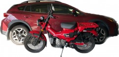 Trail 125 (Honda CT125A Trail 125 ABS) | Fuelly